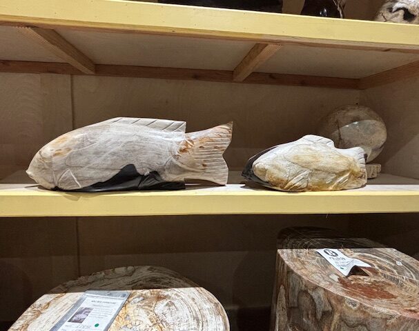 Petrified Wood - Bali Boo Living