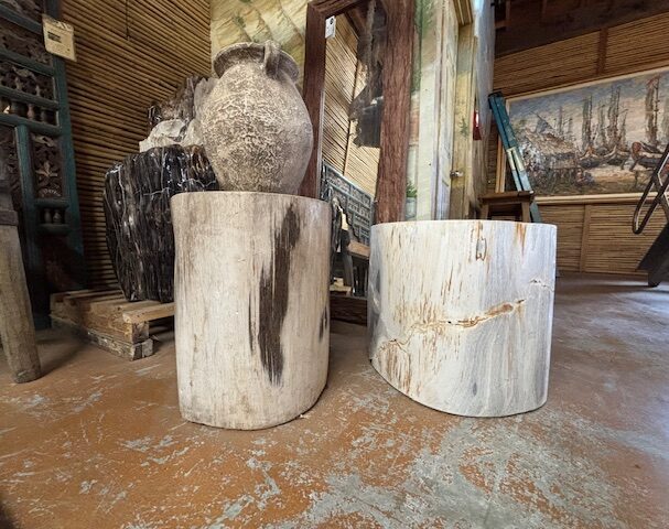 Petrified Wood - Bali Boo Living